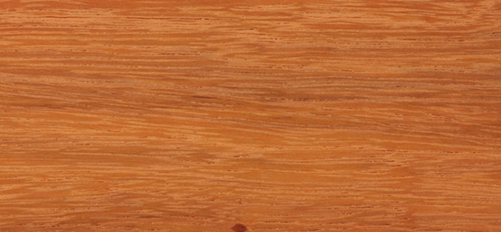 African Saal Wood Supplier & Exporters - Faith Lumber
